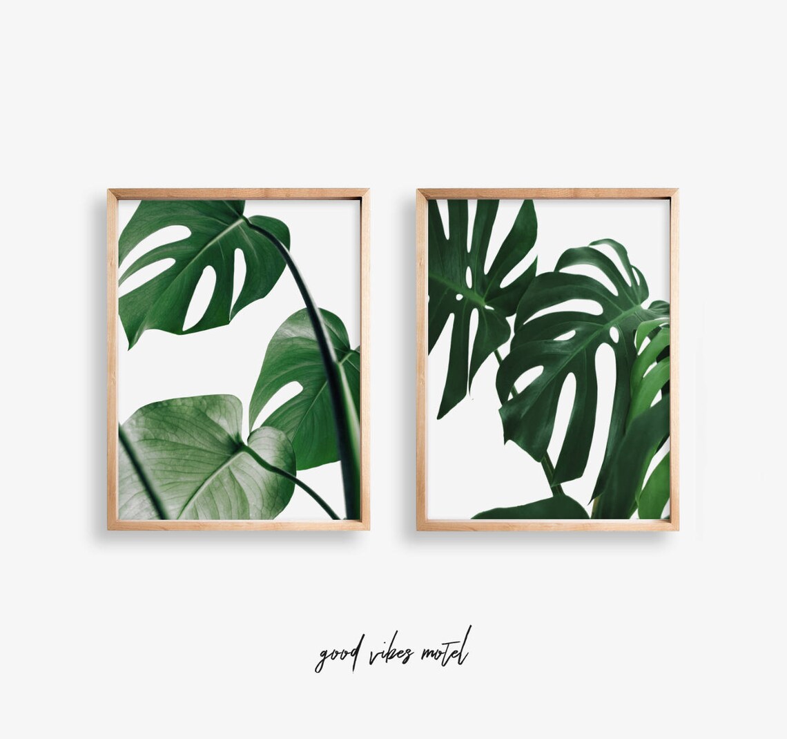 Tropical Print Set of 2 Monstera Leaf Poster Tropical Leaf | Etsy
