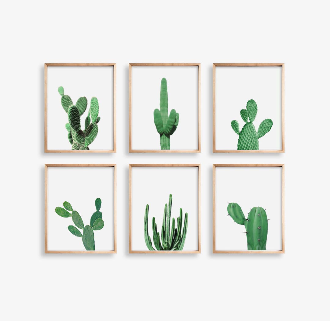 Set of Prints, Cactus Print, Cactus Wall Art, Desert Cactus Photo ...