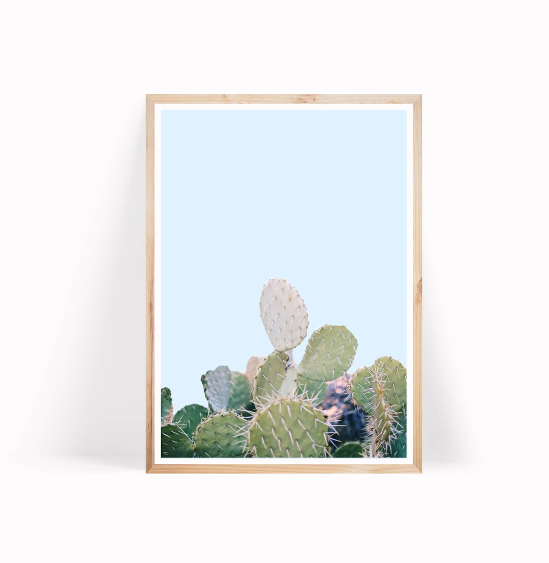 Succulent Print, Cactus Photo, Cactus Print Art, Cacti Print, Cactus ...