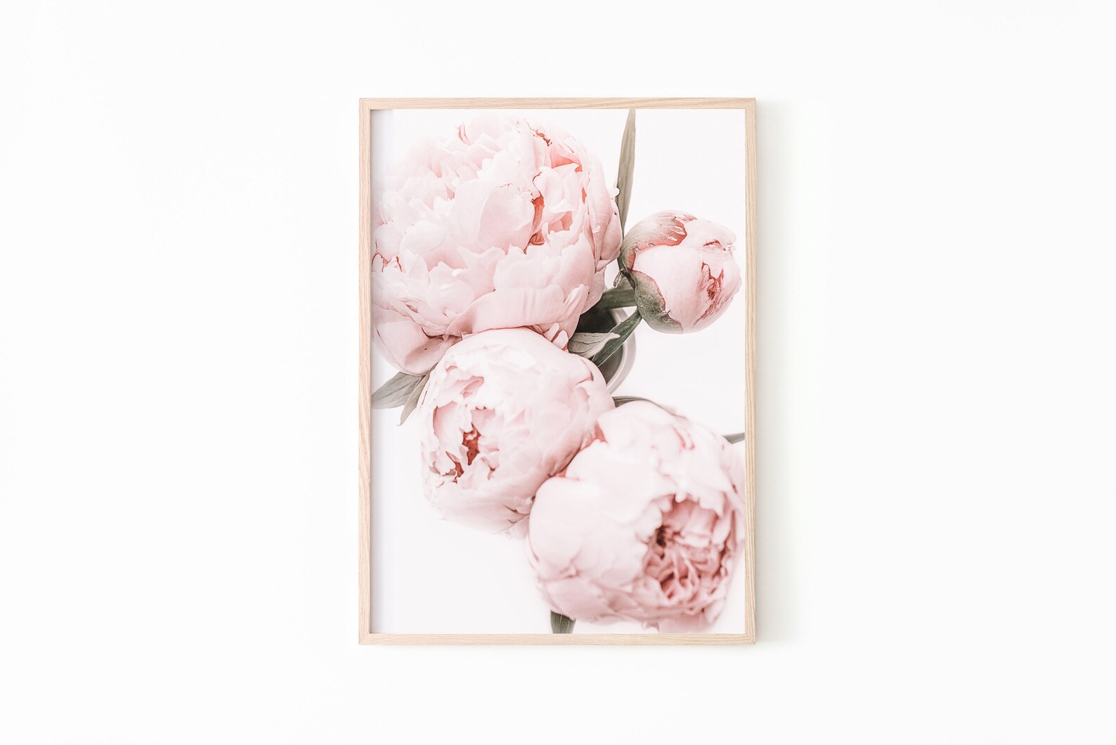 Peony Wall Art Peony Print Set of 3 Blush Pink Wall Art - Etsy UK