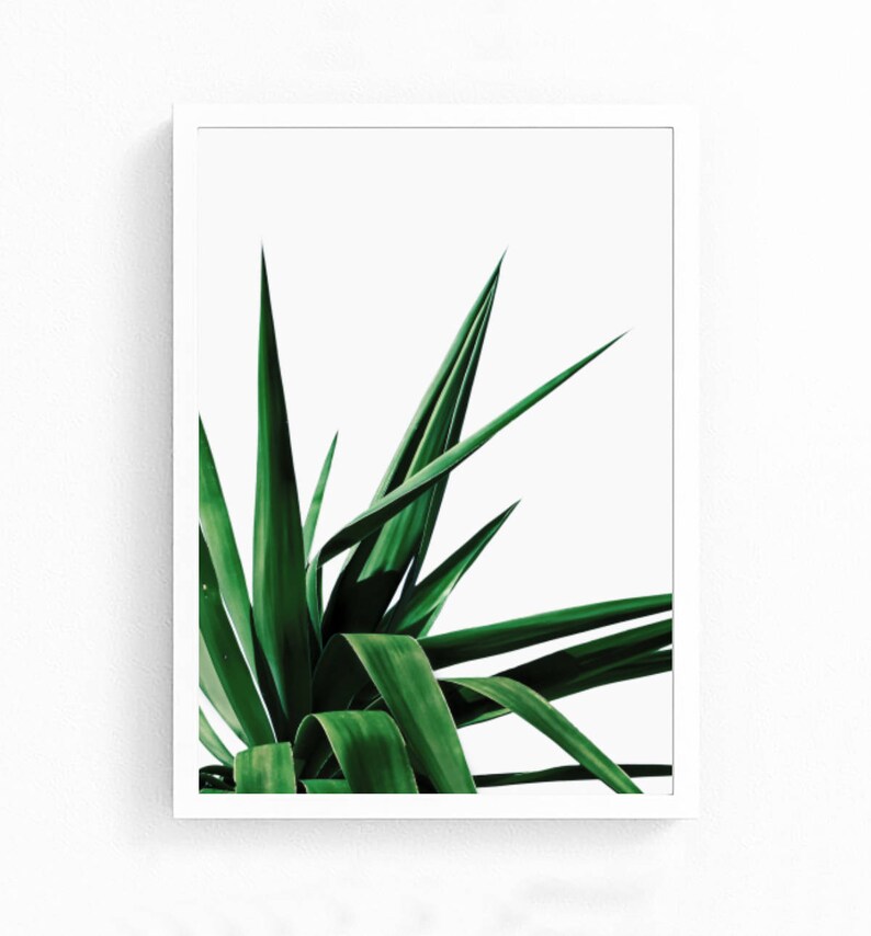 Palm Leaf Print Palm Tree Print Set Of 6 Prints Banana Leaf Etsy