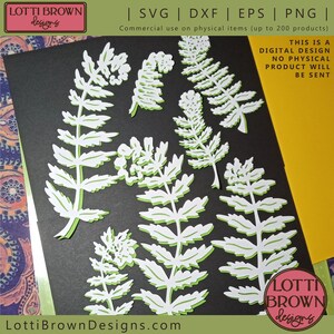 Fern SVG Cut File Bundle Hand-drawn Leaves SVG, Png, Dxf, Eps ...