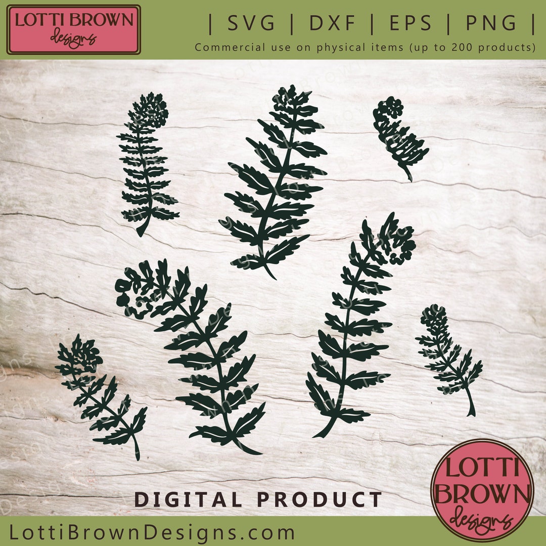 Fern SVG Cut File Bundle Hand-drawn Leaves SVG, Png, Dxf, Eps ...