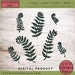 Fern SVG Cut File Bundle Hand-drawn Leaves SVG, Png, Dxf, Eps ...