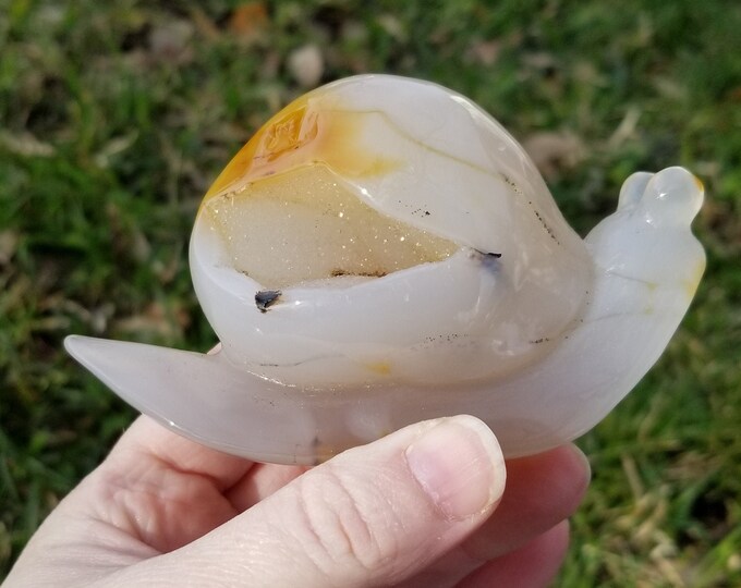 Agate Geode Snail, Agate, Geode, Snail, #1 - Etsy