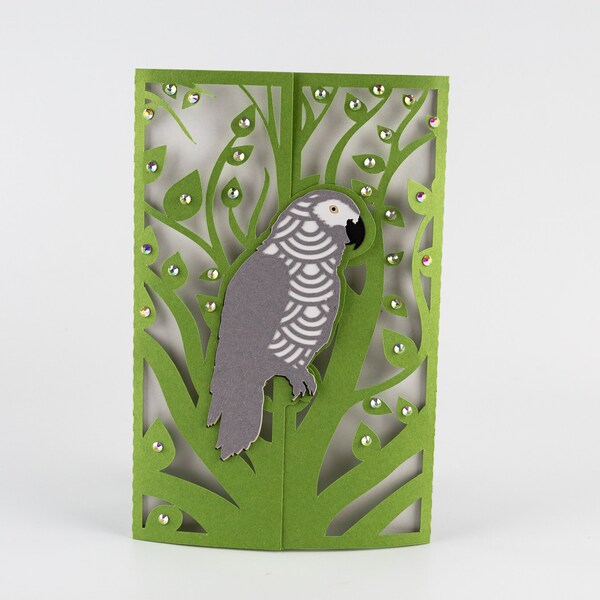 Parrot Card - Etsy