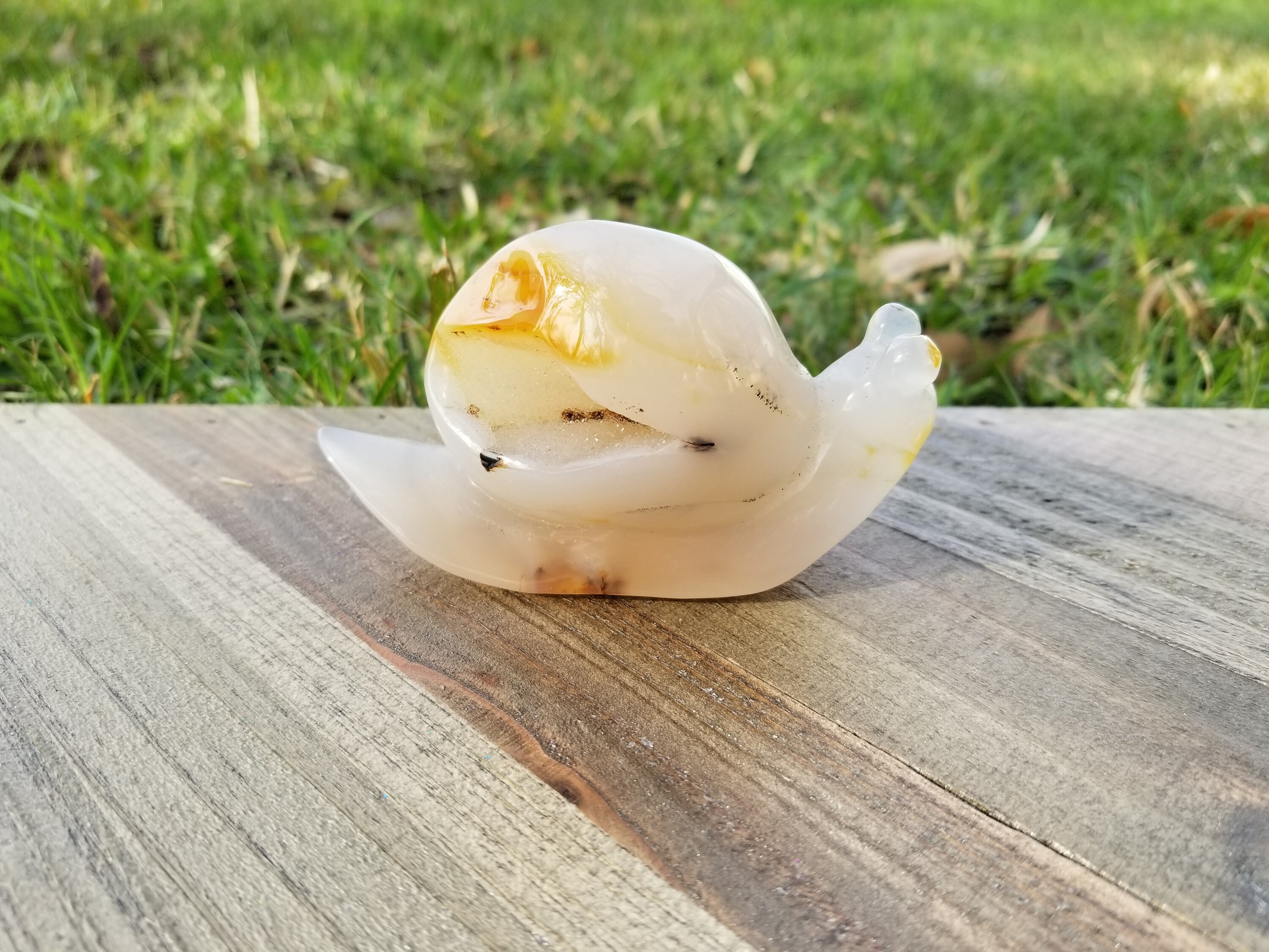 Agate Geode Snail Agate Geode Snail 1 | Etsy