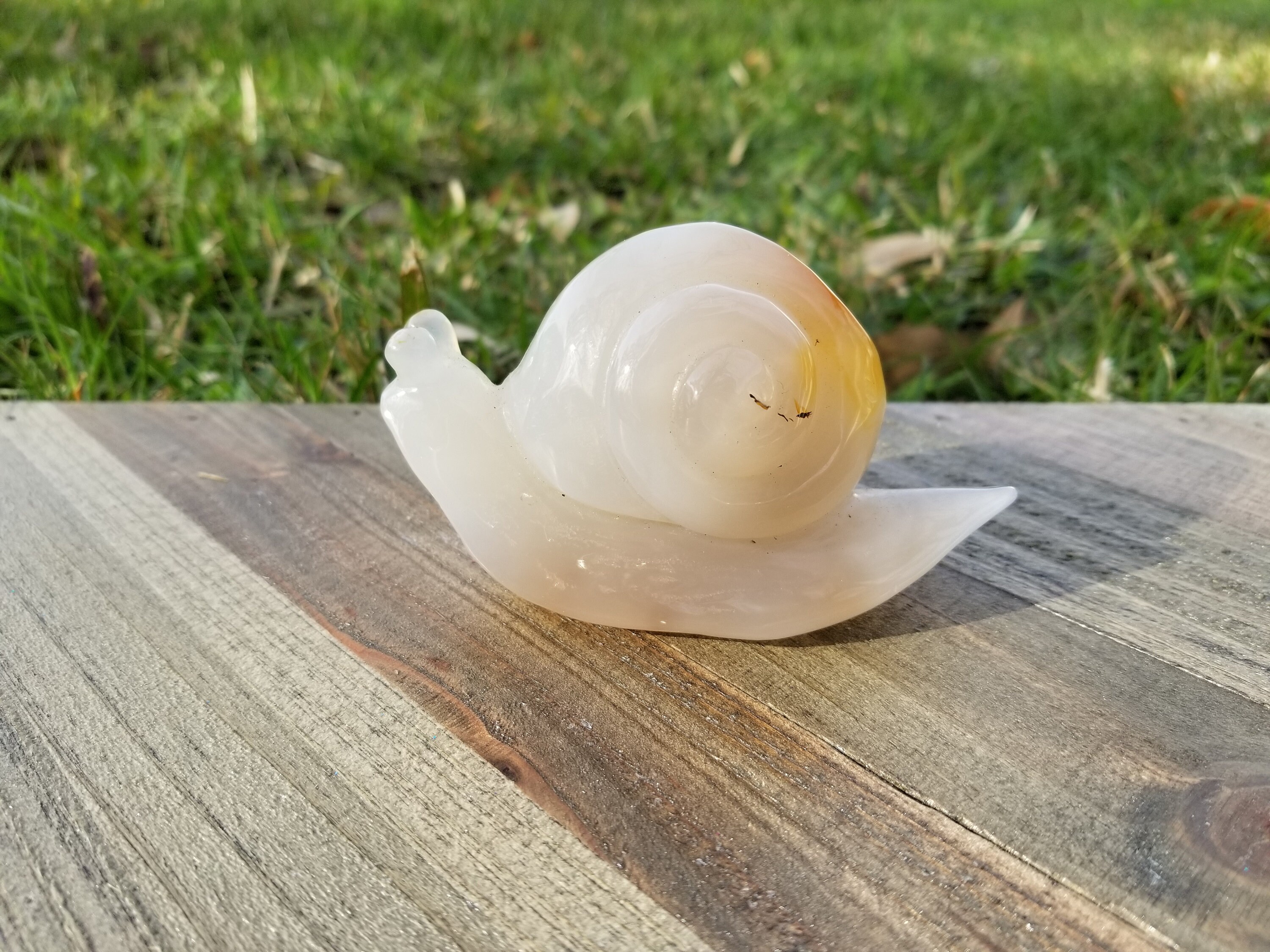 Agate Geode Snail Agate Geode Snail 1 | Etsy