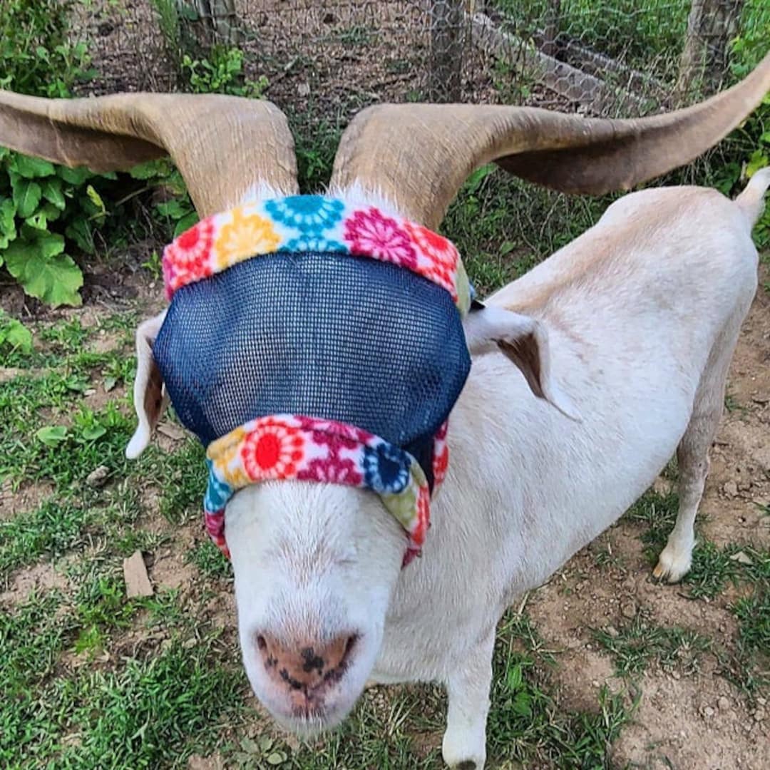 Goat/sheep Fly Masks - With & W/o Horns - Dual Adjustable - Made to ...