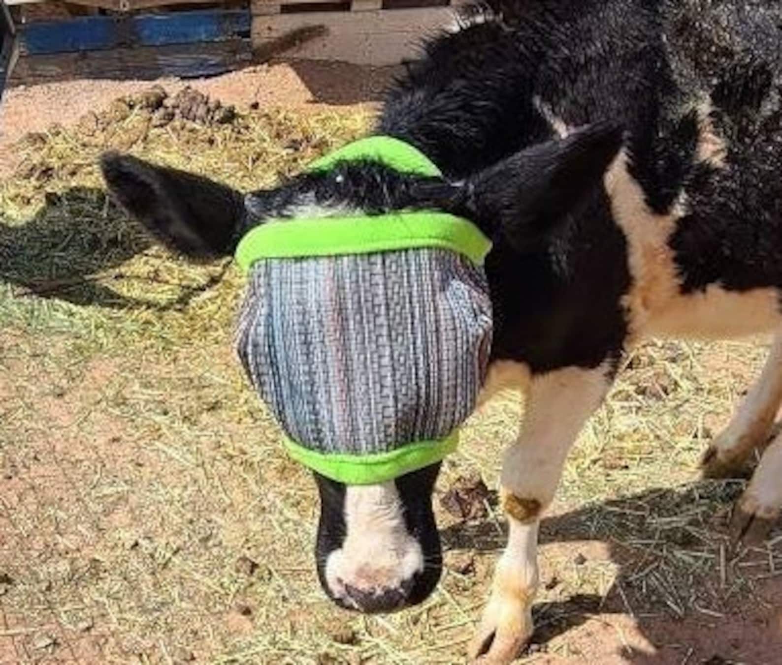 Cattle Fly Masks 2021 Improved Design from Calf to Brahma | Etsy