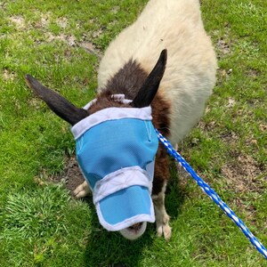 Goat/sheep Fly Masks With & W/o Horns Dual Adjustable - Etsy
