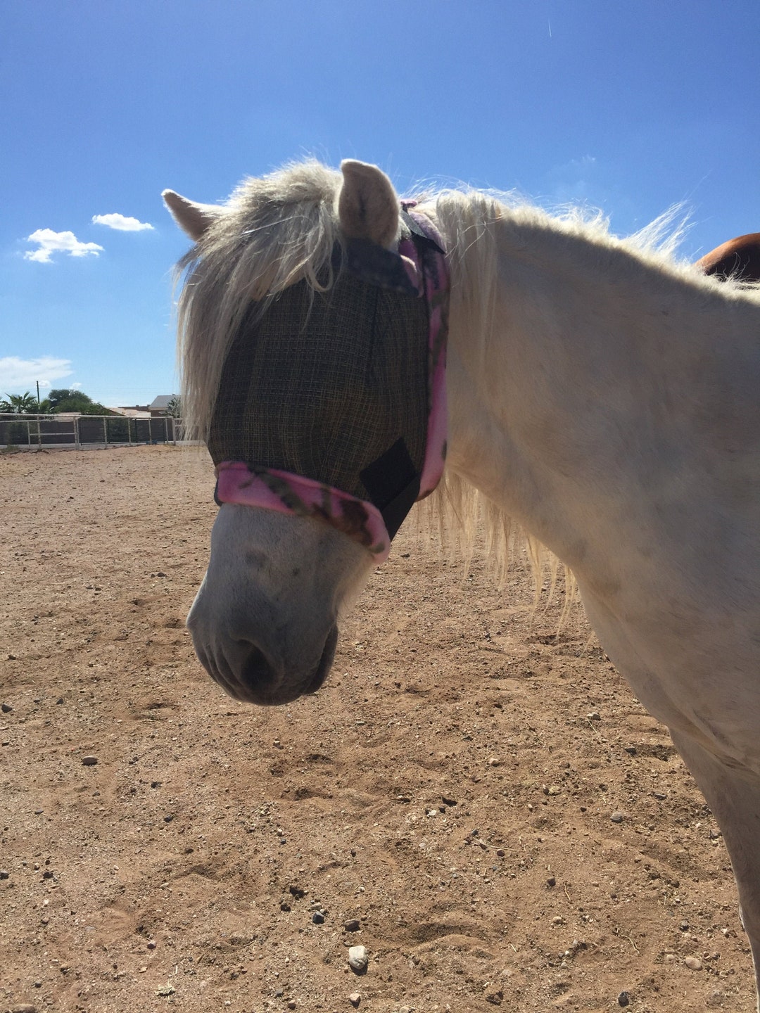 Miniature Horse/pony Fly Masks - Dual Adjustment or W/ Ear Holes - Made ...