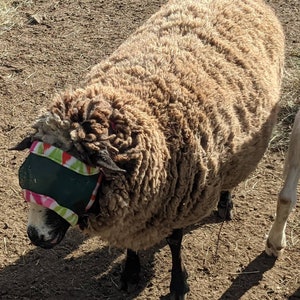 Goat/sheep Fly Masks With & W/o Horns Dual Adjustable Made to Order ...