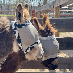 Donkey/mule Fly Masks - Dual Adjustment or W/ Ear Holes - Made to Order ...