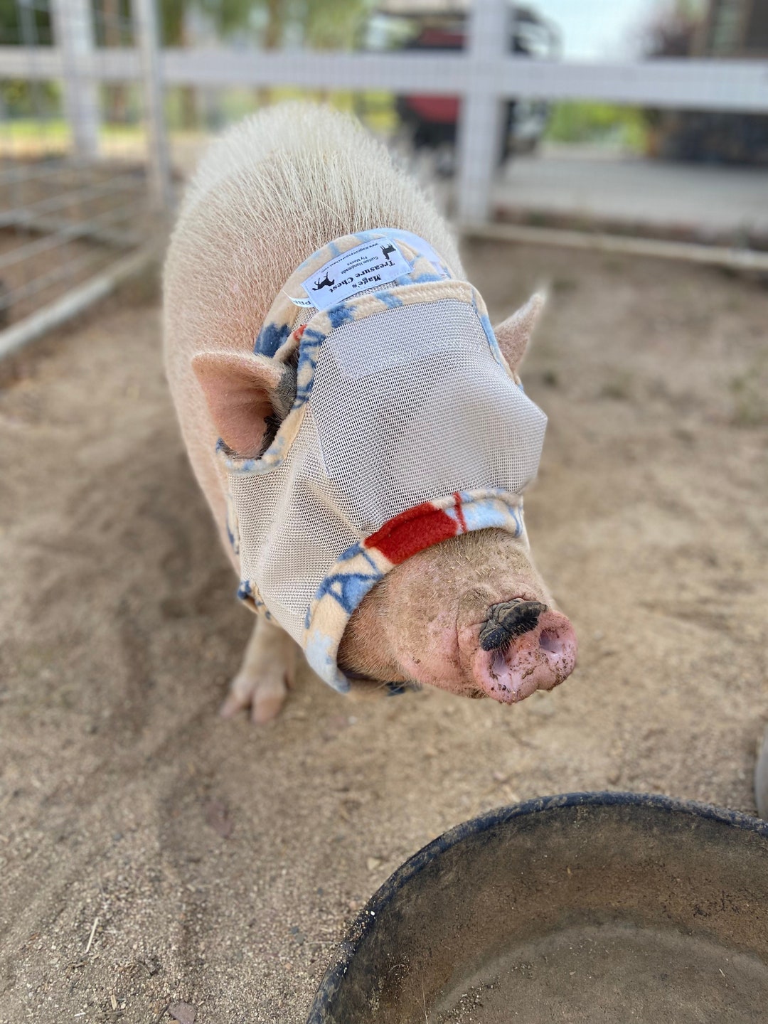 Potbelly Pig Fly Masks - Made to Order - Etsy