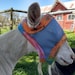 Goat/sheep Fly Masks With & W/o Horns Dual Adjustable Made to Order - Etsy