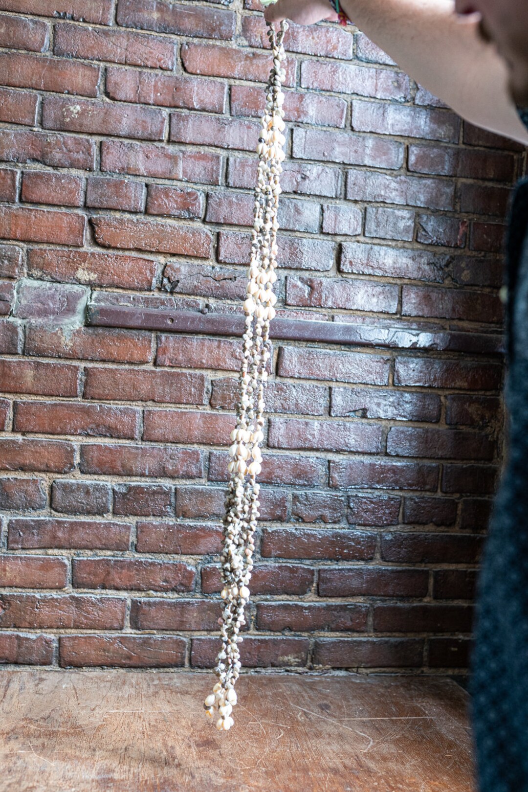 Sea Shell Plant Hanger - Etsy