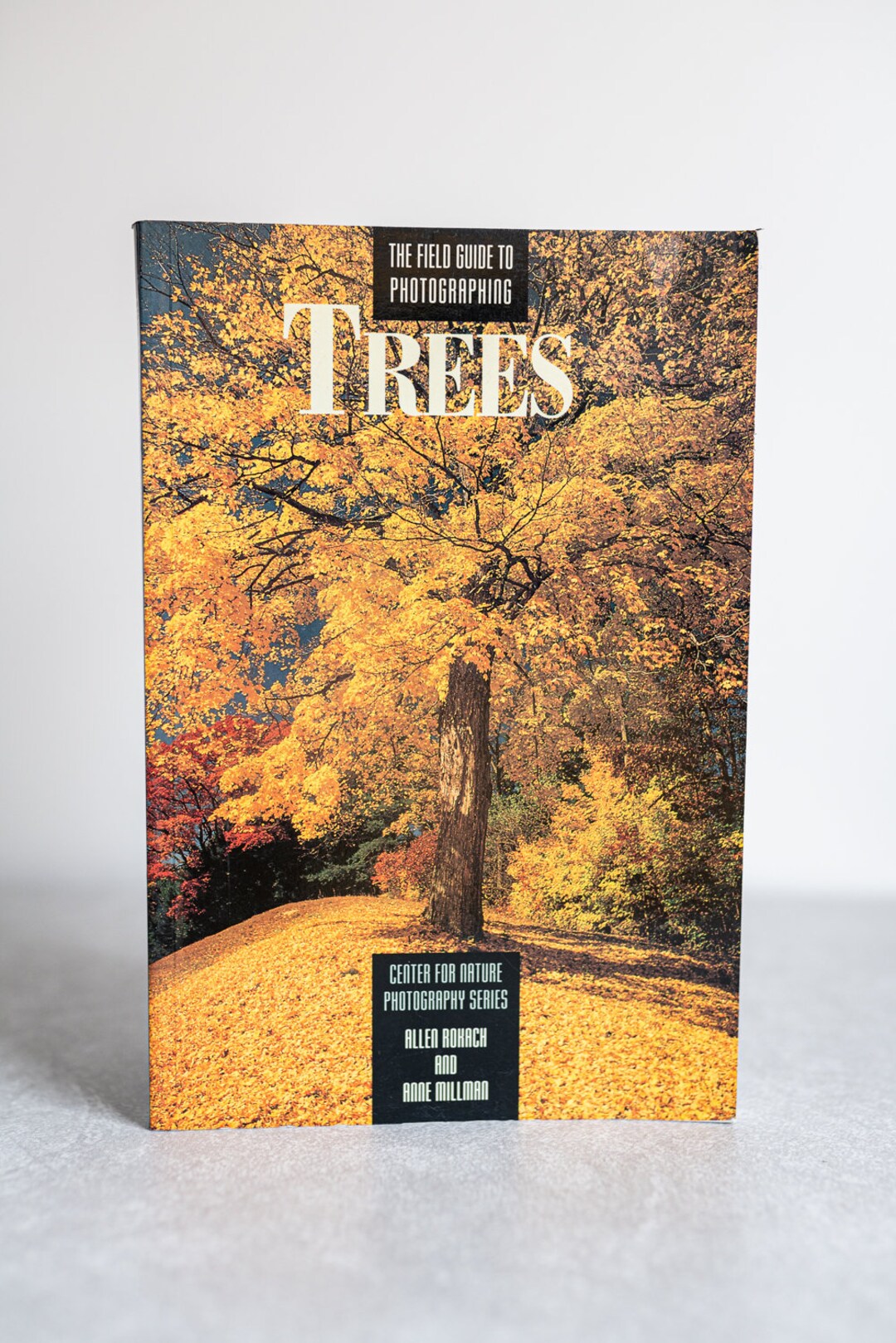 The Field Guide to Photographing Trees by Allen Rokach Anne Millman - Etsy