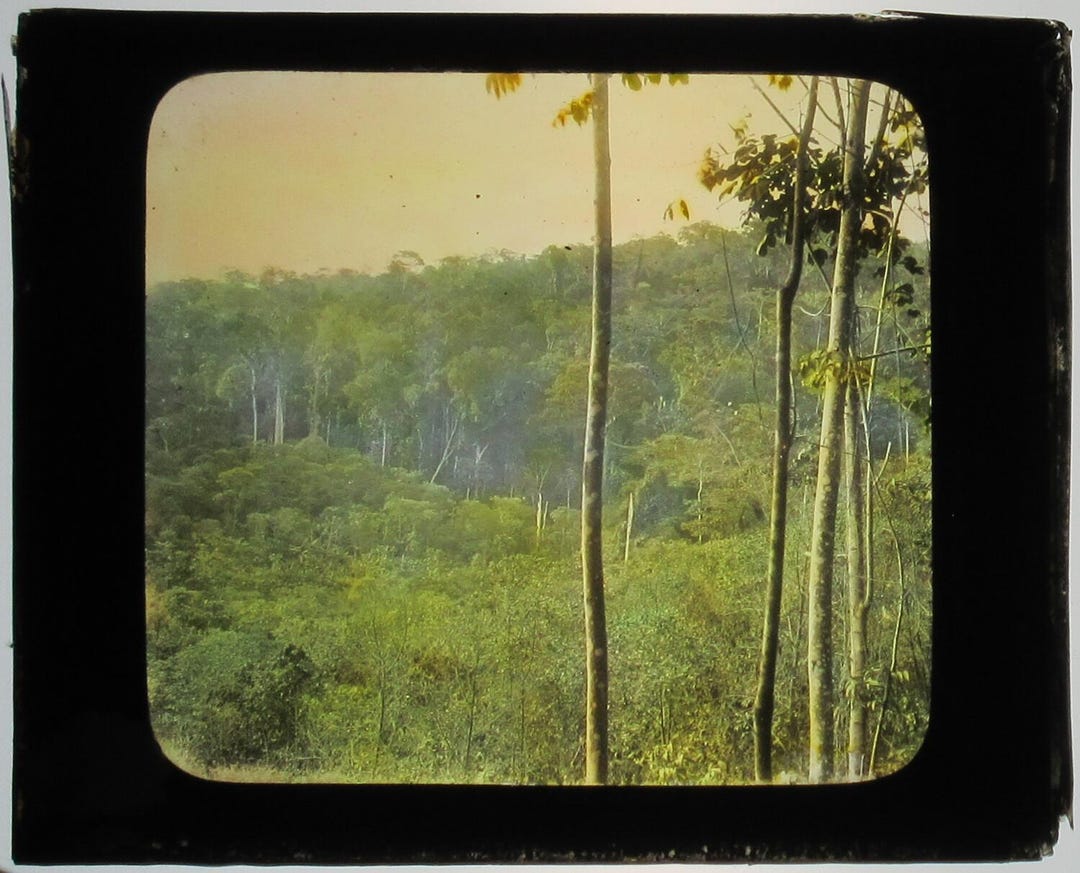 Vintage Hand-colored Lantern Slide on Glass - Ilheus, Brazil, 3.25 X 4 ...