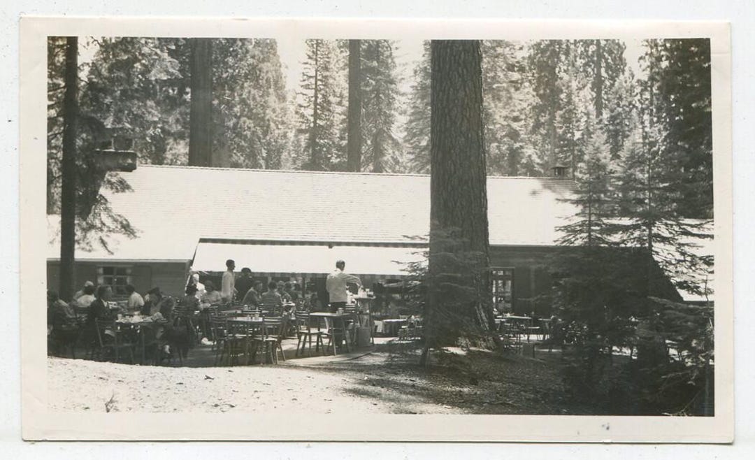 Vintage Yosemite Big Tree Inn 1940s Black & White Photo Print – 2.75x4 ...