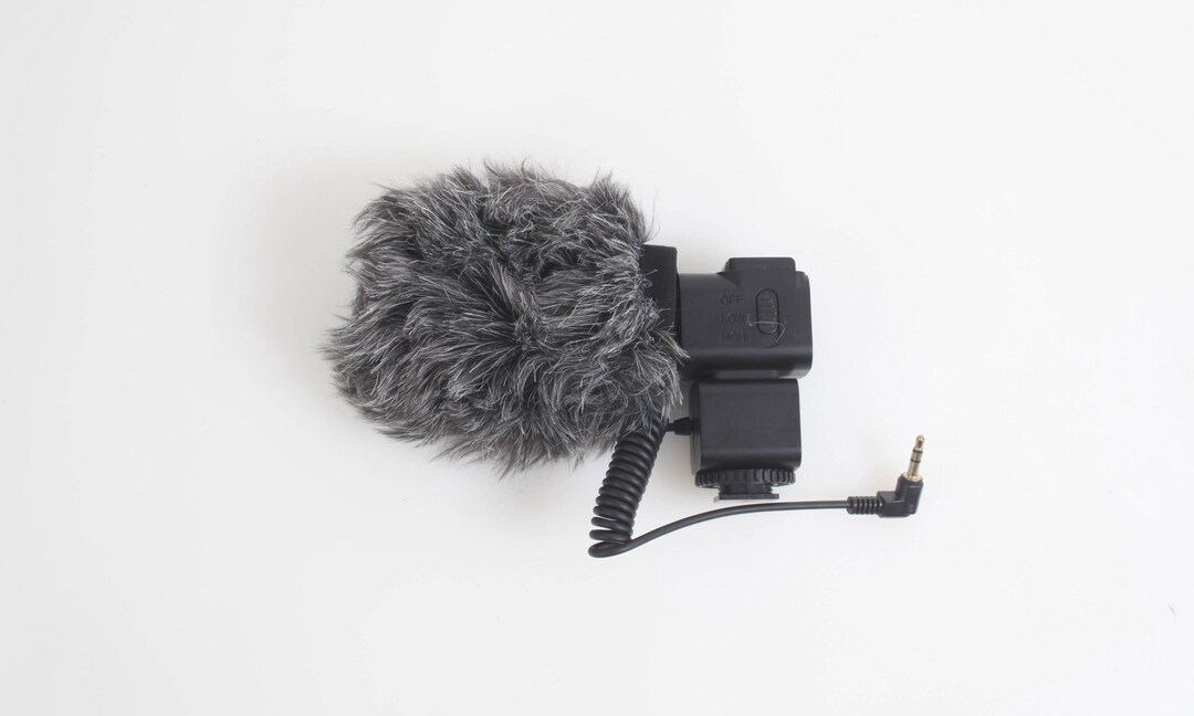 Microphone for Film on Digital With Windshield - Etsy