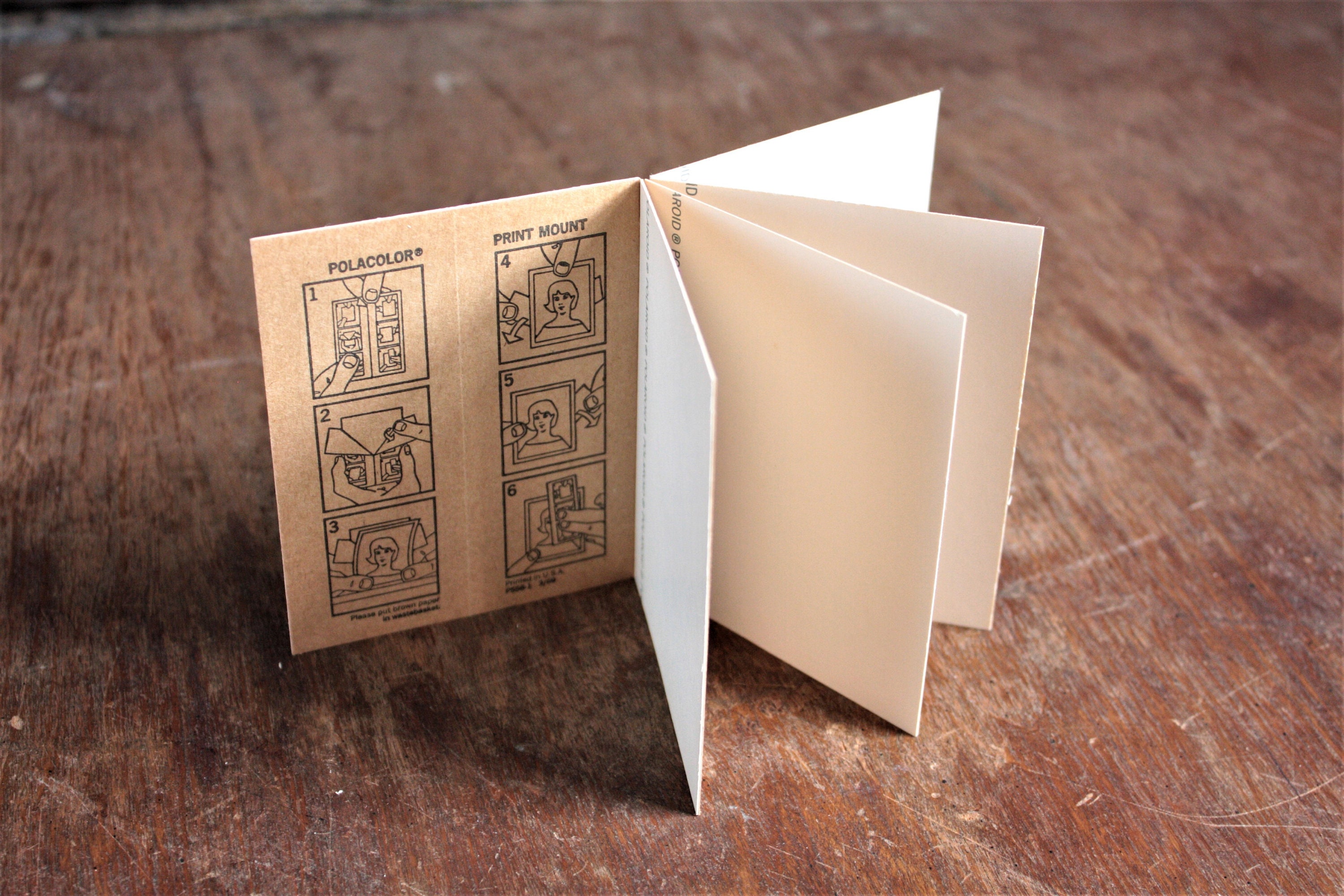 Polacolor Polaroid Photo Backing Paper Mount for Framing or Display 5 ...