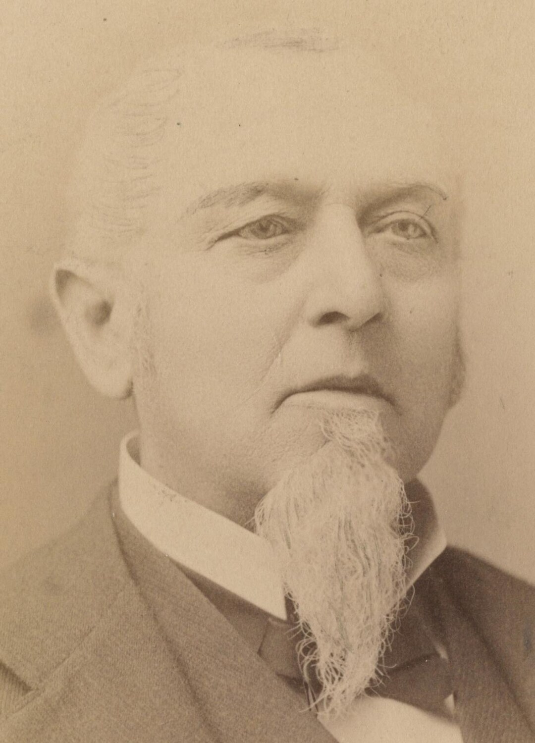 Vintage Portrait Photo: Older Man in Sharp Suit With Chin Beard, Troy ...