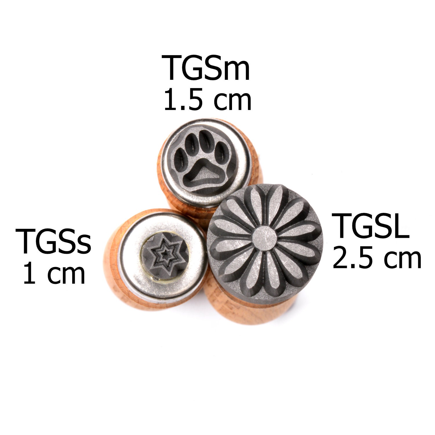 Tgsm-012 Medium Graphite Stamp Ginkgo Leaf | Etsy