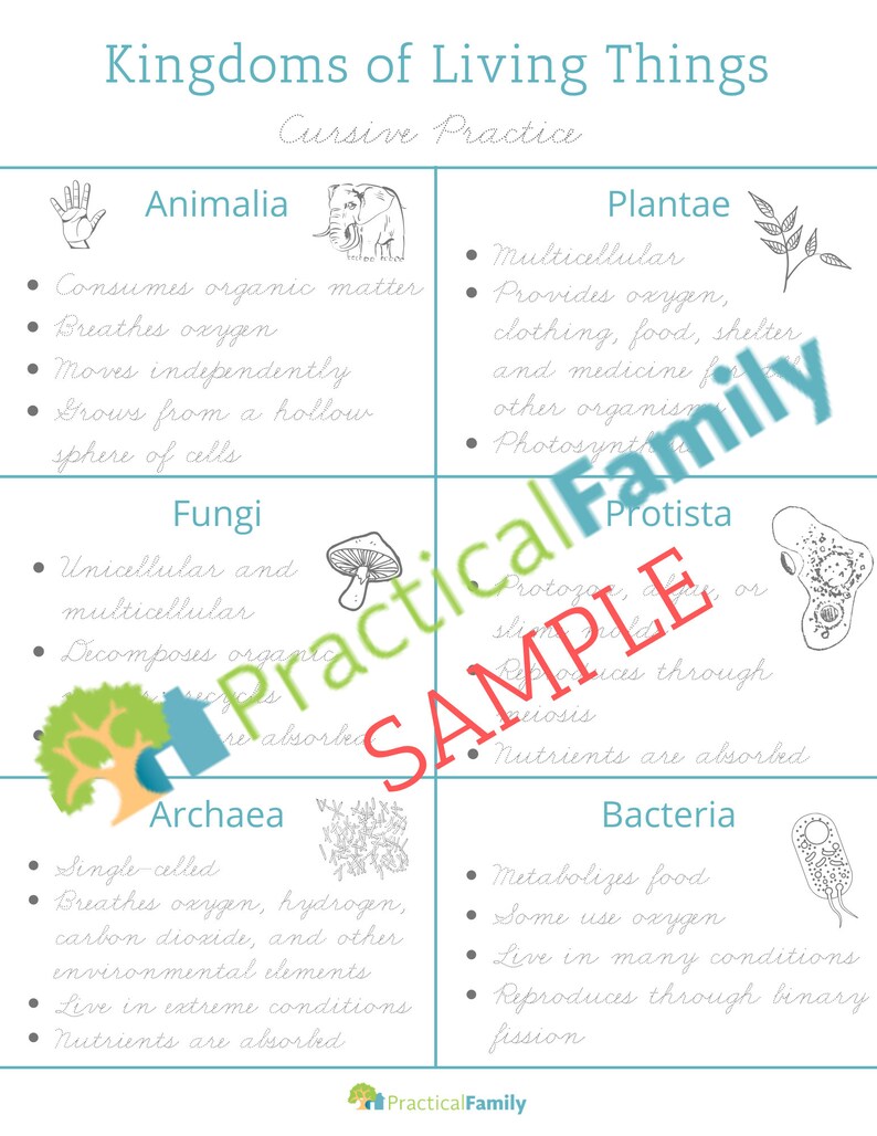 Kingdoms of Living Things - Handwriting Practice - Etsy