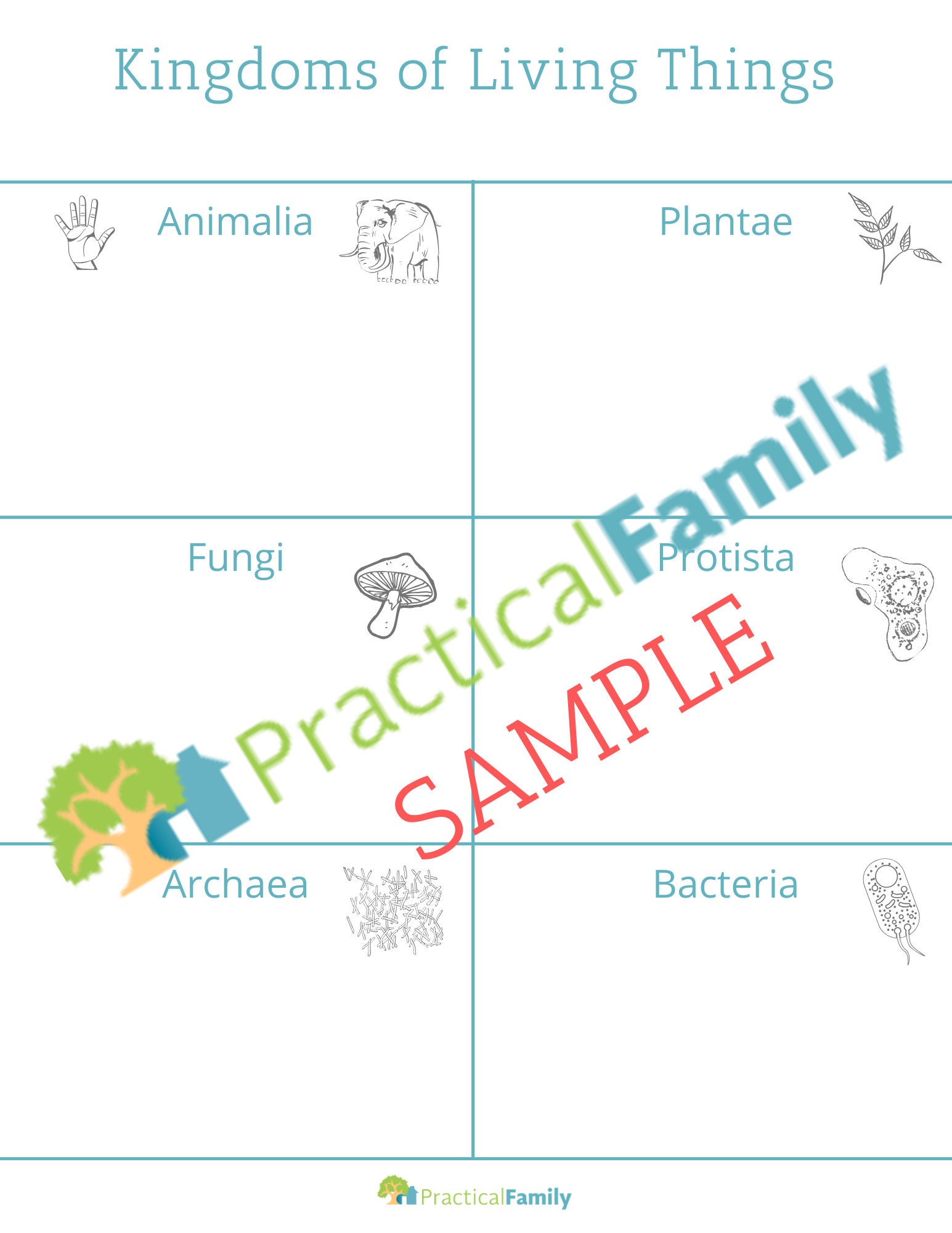 Kingdoms of Living Things - Handwriting Practice - Etsy