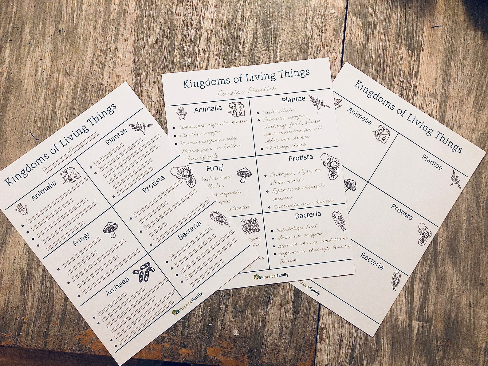 Kingdoms of Living Things Handwriting Practice - Etsy