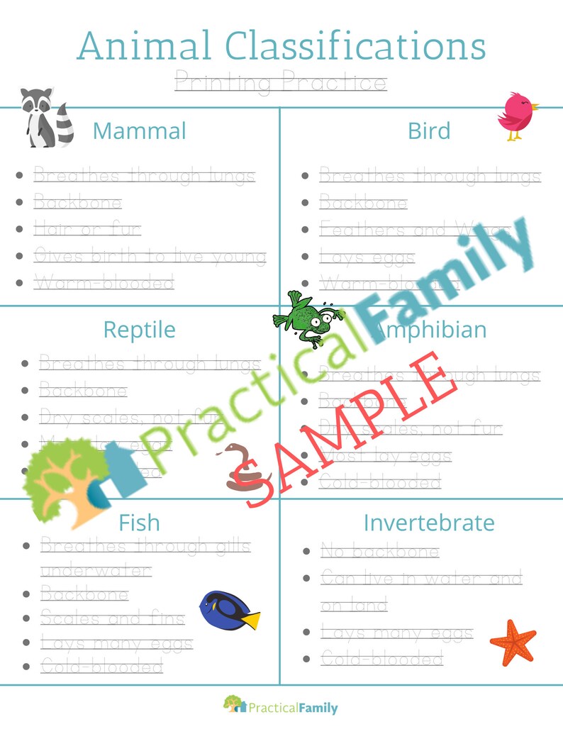 Animal Classifications - Etsy