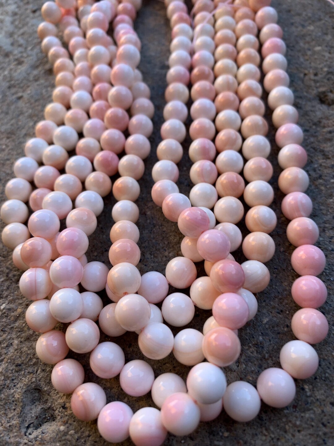 8mm Round Queen Conch Shell Beads - Etsy