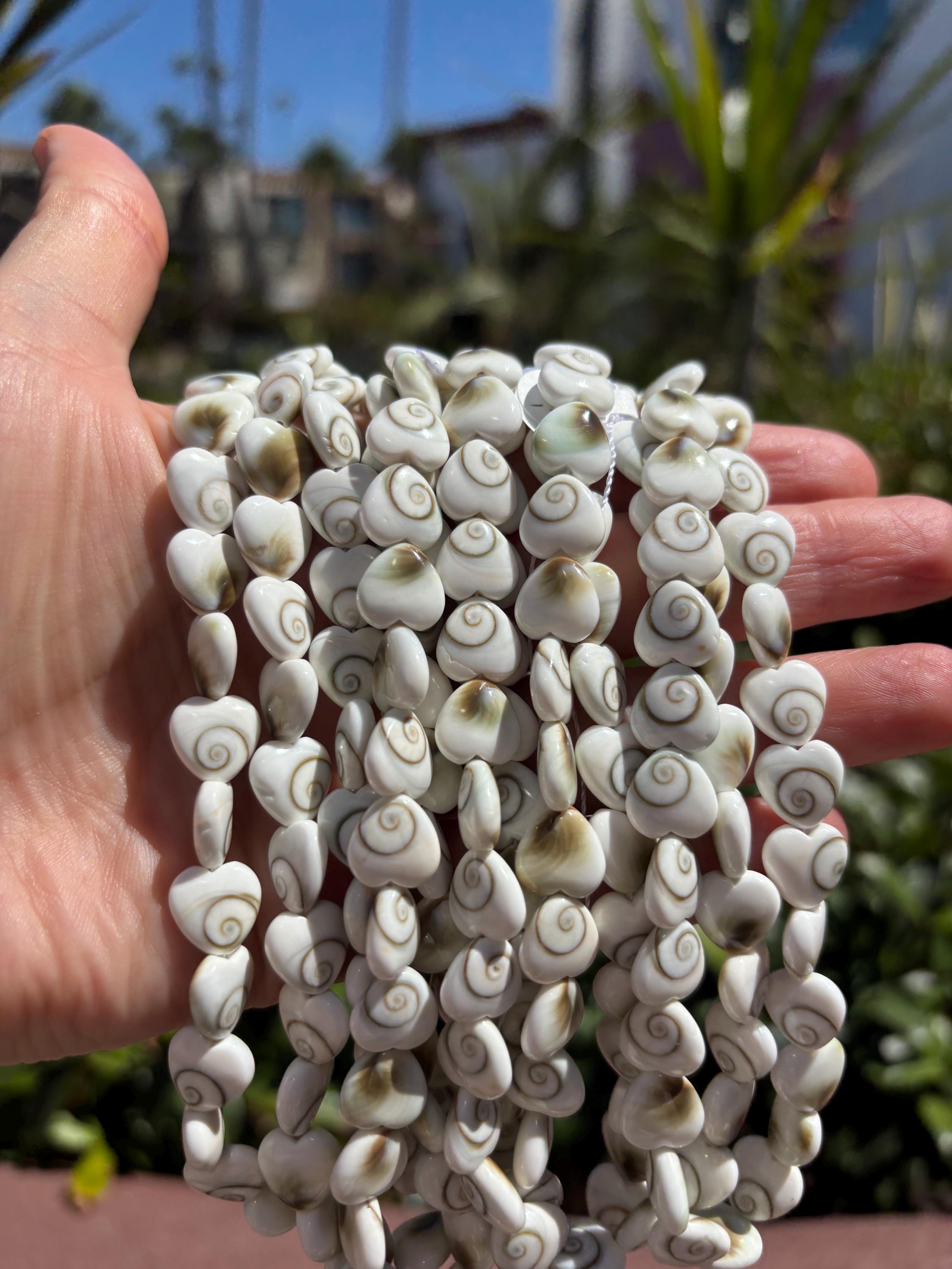 10mm Eye of Shiva (operculum) Heart Shaped Shell - Etsy