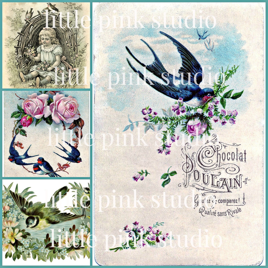 Pretty Birds, Printable Collage Sheet (digital Download, Printable) - Etsy