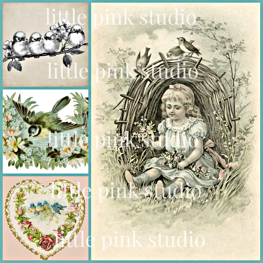 Pretty Birds 02, Printable Collage Sheet (digital Download, Printable ...
