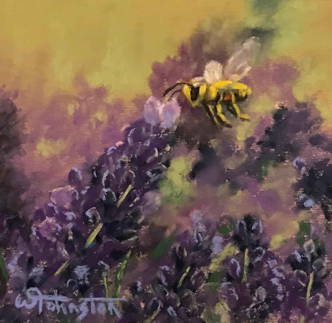 Pastel Painting of Bee and Lavender Painted by Wendy Johnston - Etsy