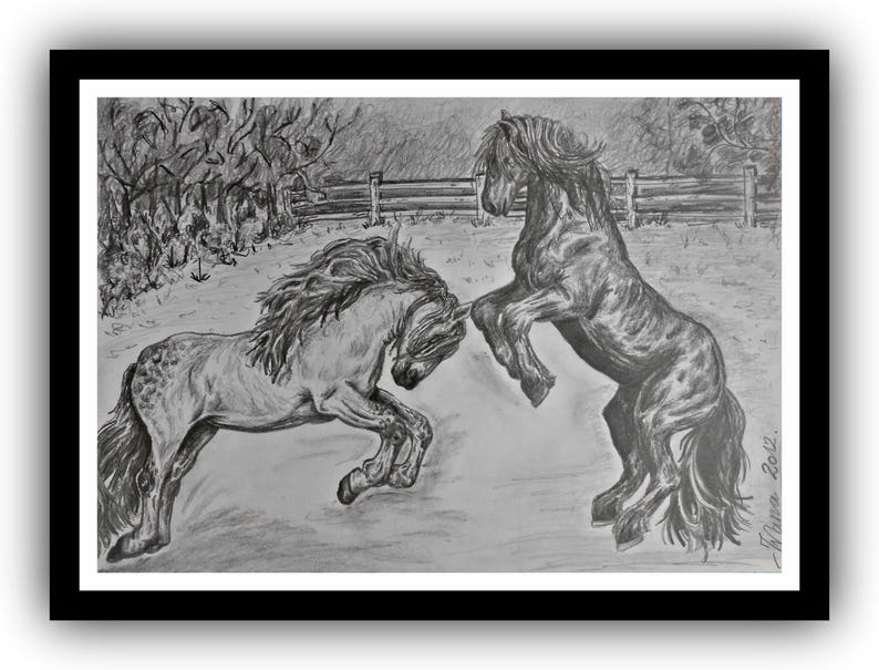 Horse Fight Original Pencil Drawing Animal Art Wild - Etsy