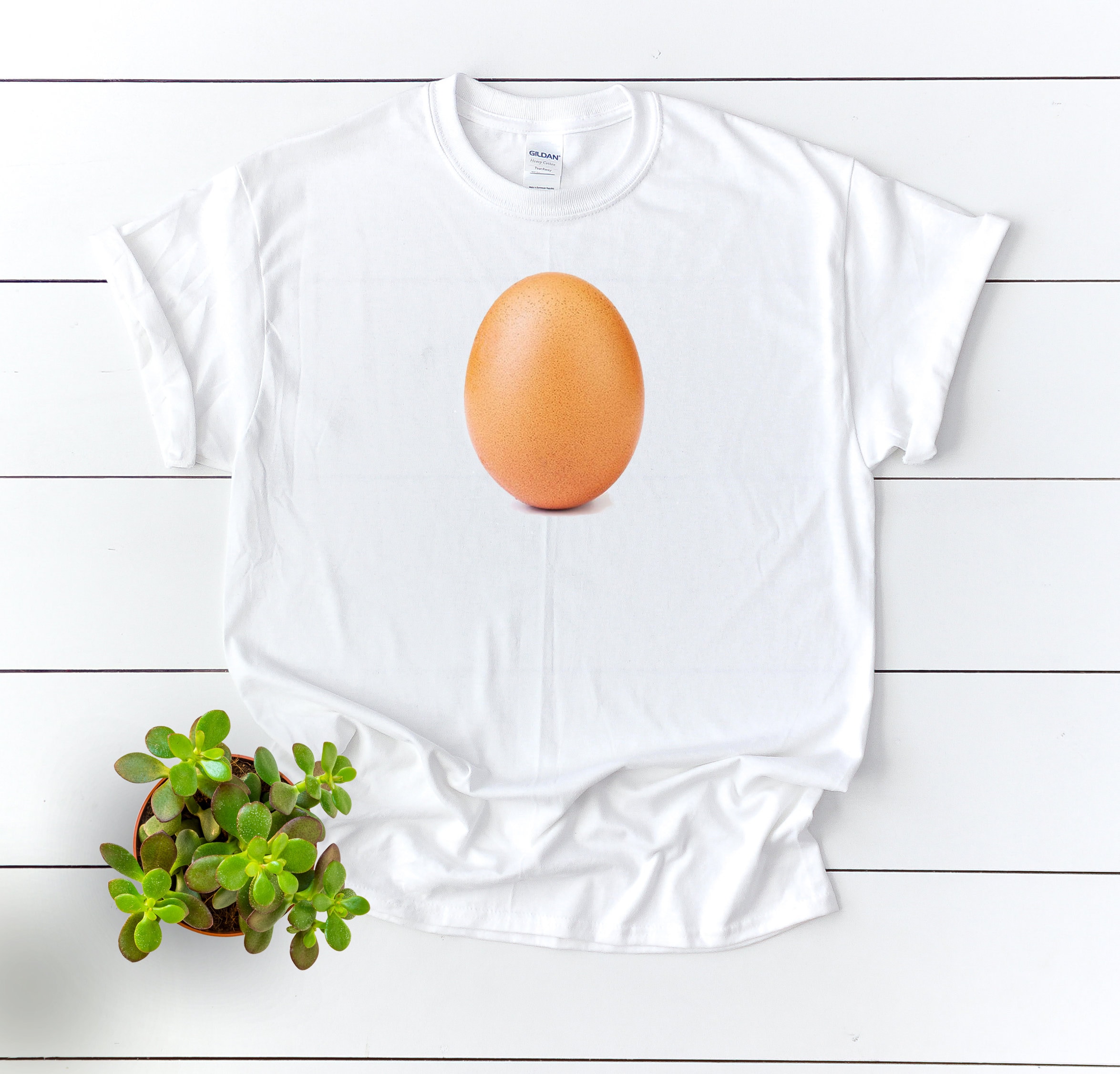 World Record Egg Shirt World Record Instagram Post T-shirt - Etsy
