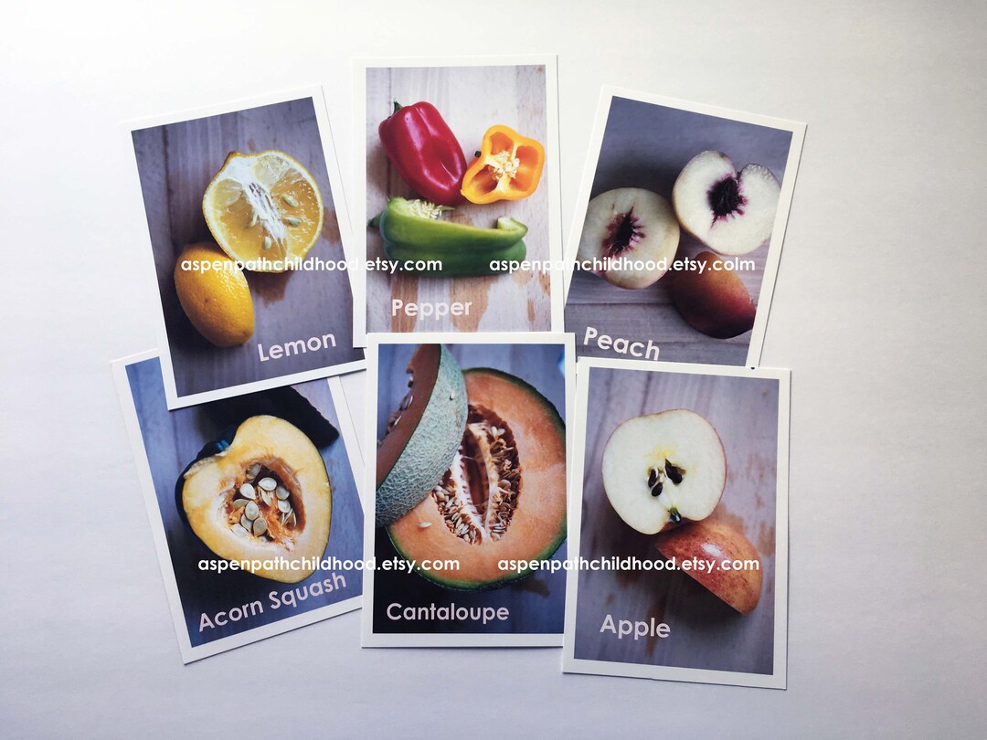 Seed Study Cards: Fruits & Vegetables, Montessori Homeschool (digital ...