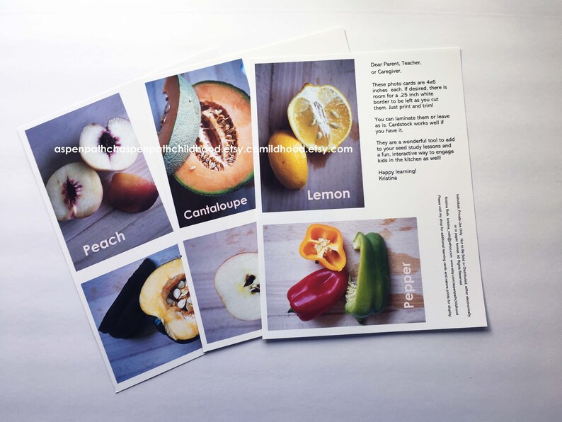 Seed Study Cards: Fruits & Vegetables, Montessori Homeschool (digital ...