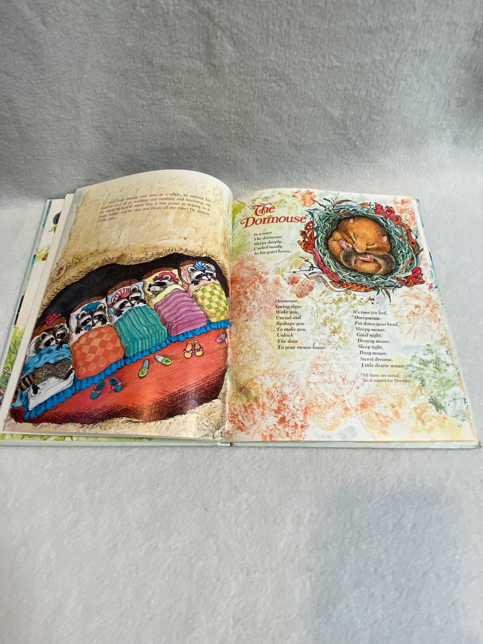 Vintage Children's Book 1971 'lots and Lots of | Etsy