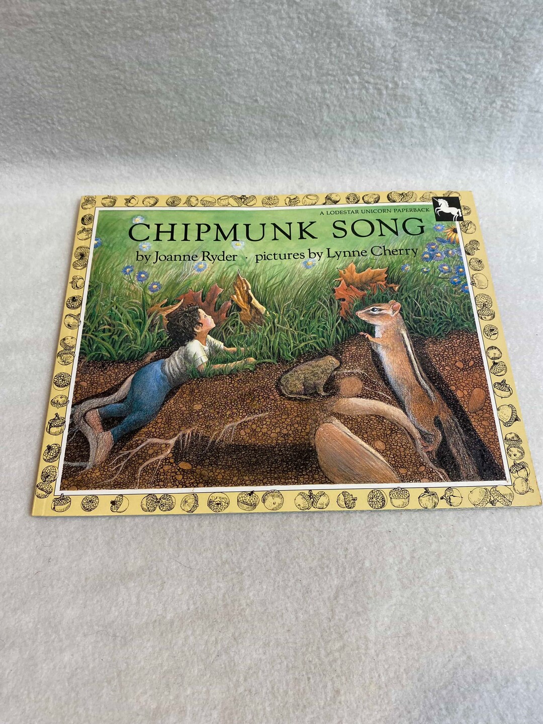 Vintage Children's Book (1987) - 'chipmunk Song' (#BK402) - Etsy