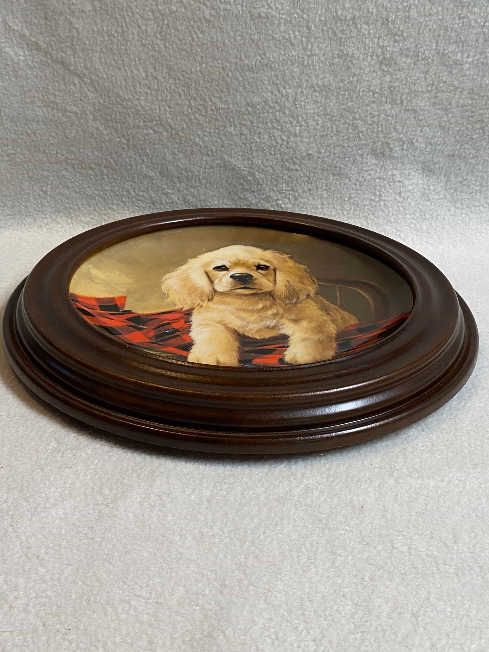 Knowles Field Puppies Collector Plate - 'shirt Tales - the Cocker ...