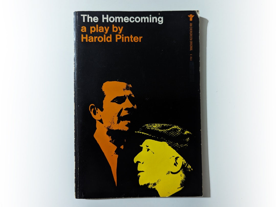 Harold Pinter - the Homecoming - Play Vintage Paperback Book - 1980 - Etsy