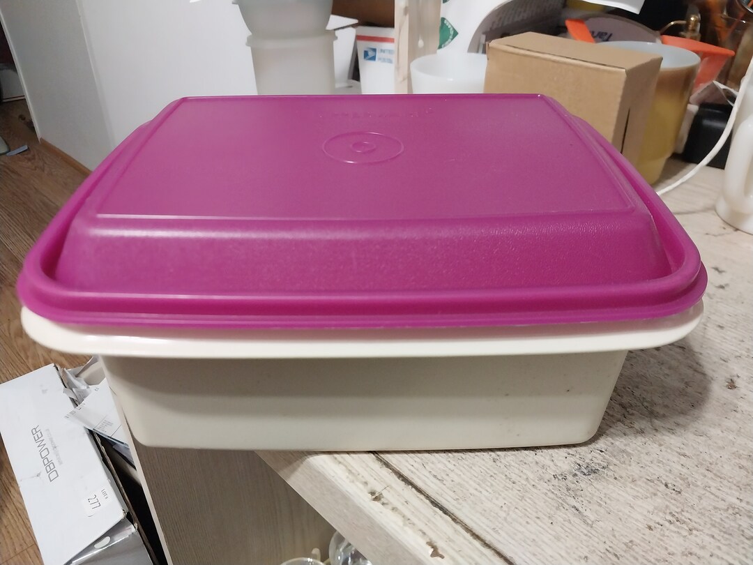 Vintage Tupperware Ice Cream Container - Etsy