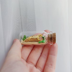 Tiny Cute Bearded Dragon in a Glass-bottle / Unique Miniature Figure ...