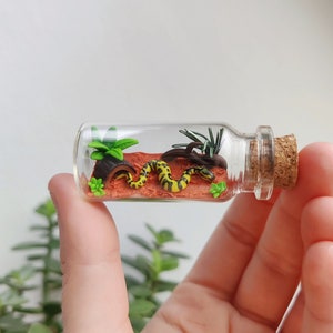 Tiny Cute Ball Python in a Glass-bottle / Unique Miniature Figure ...