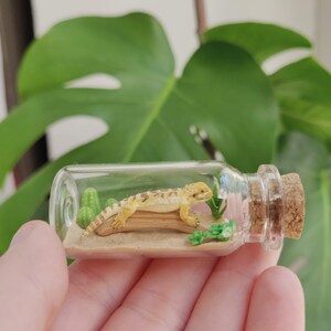 Tiny Cute Bearded Dragon in a Glass-bottle / Unique Miniature Figure ...