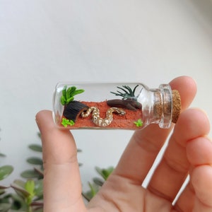 Tiny Cute Ball Python in a Glass-bottle / Unique Miniature Figure ...
